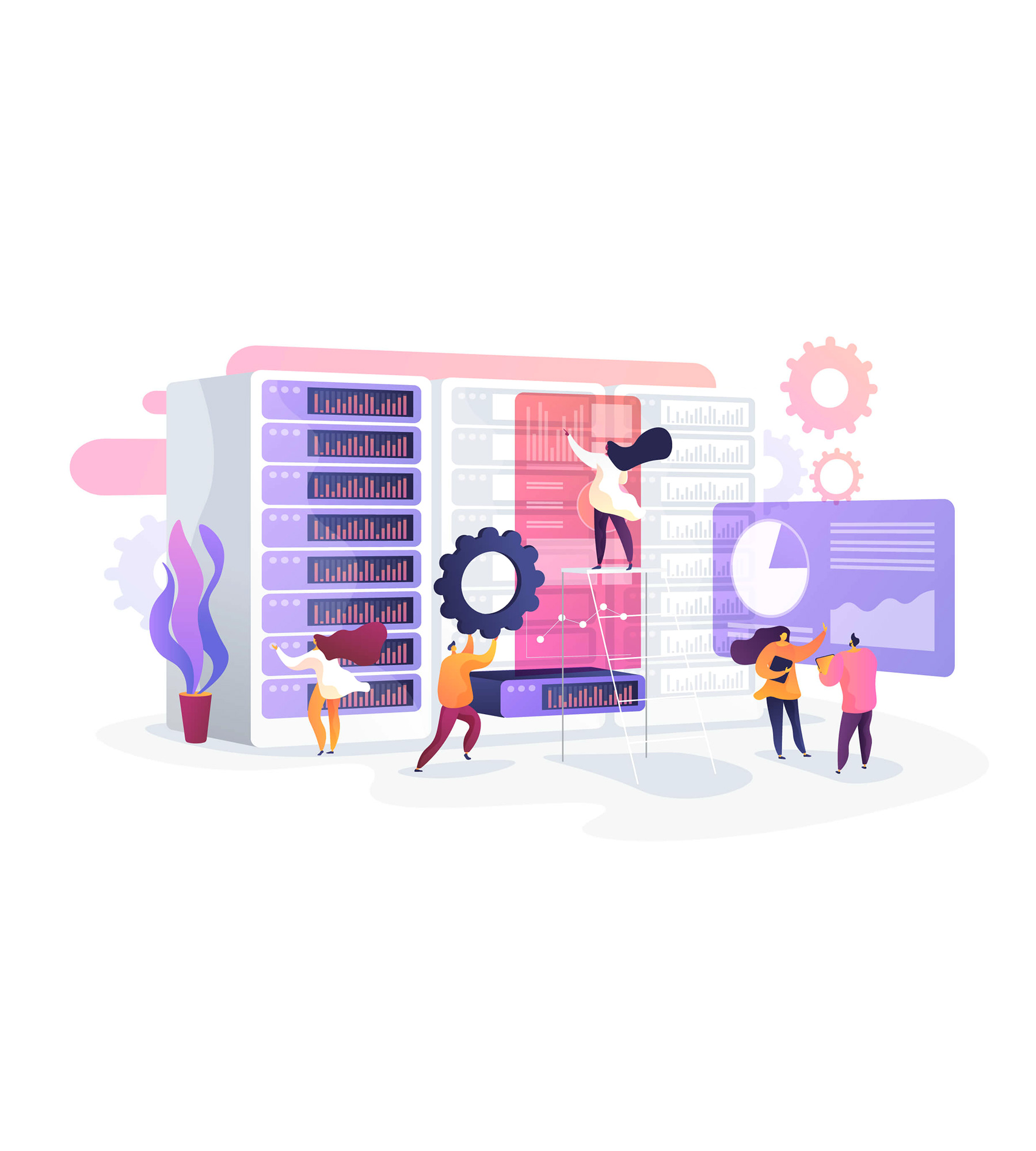 Data Vista - Our Capabilities