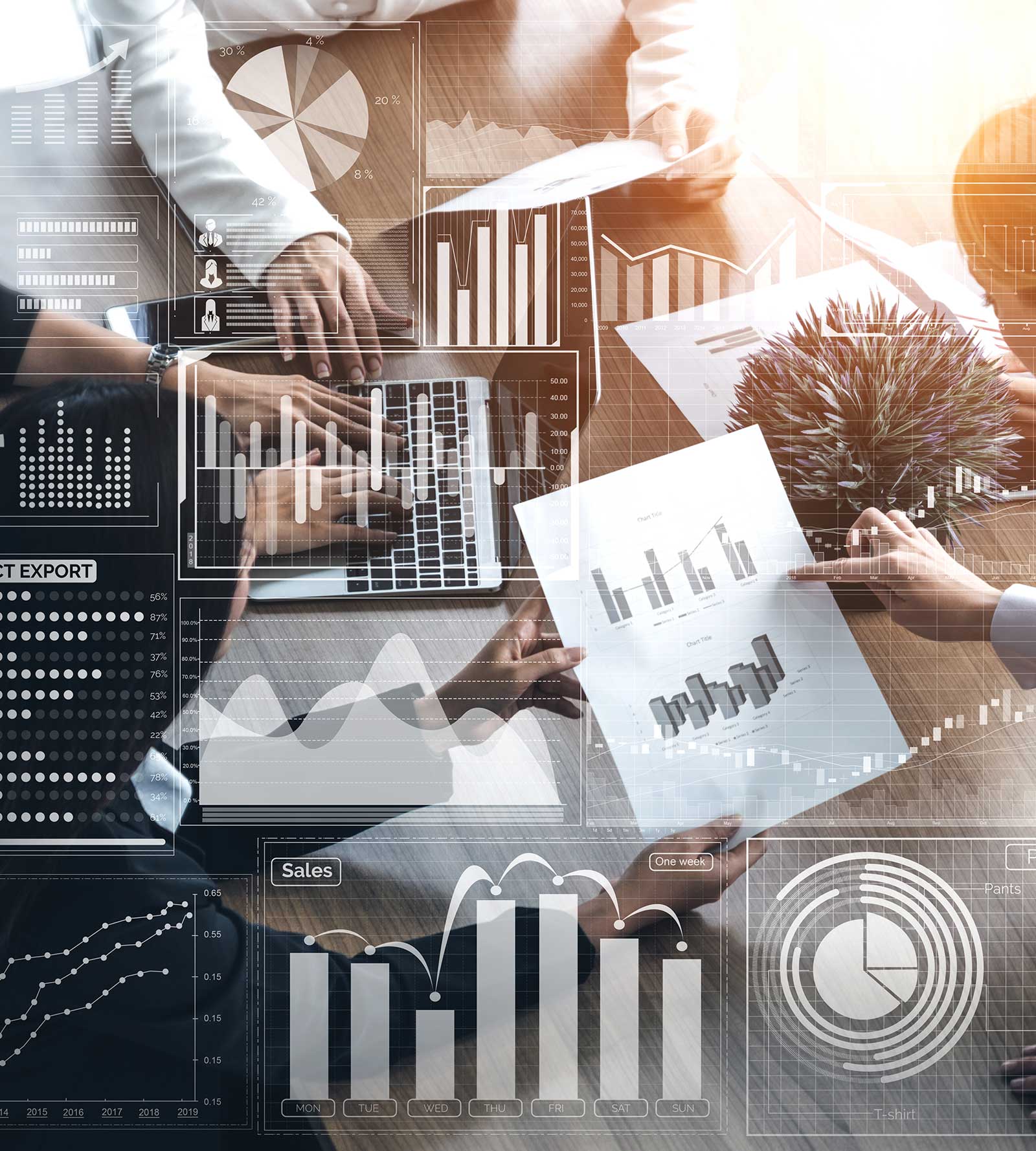 Data Vista - Our Capabilities